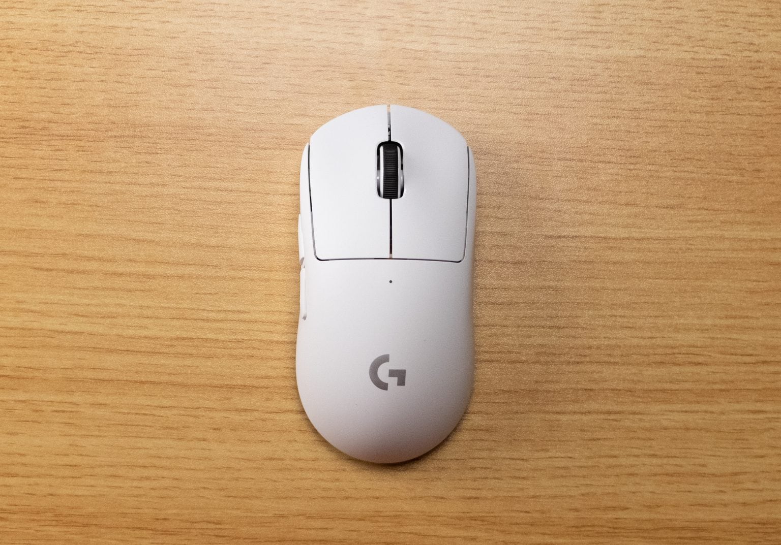 The 9 Best Palm Grip Mice (2023)