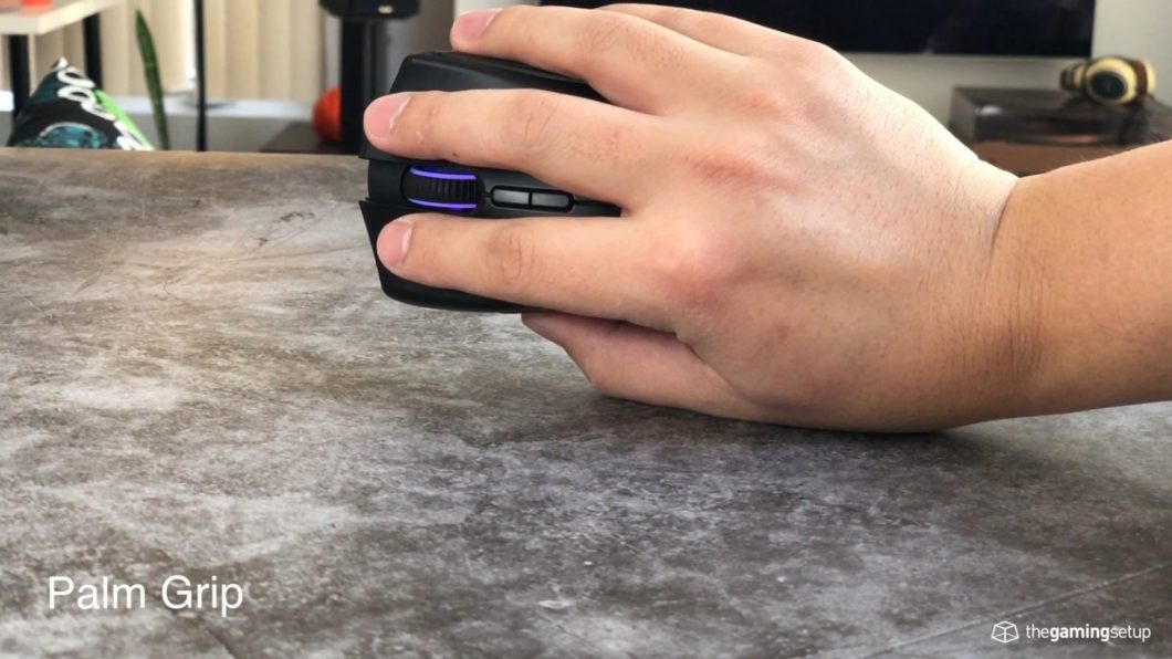 The 3 Main Types Of Mouse Grips