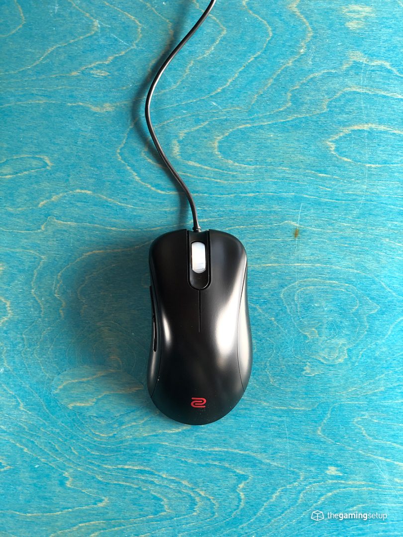 The 9 Best Palm Grip Mice (2023)